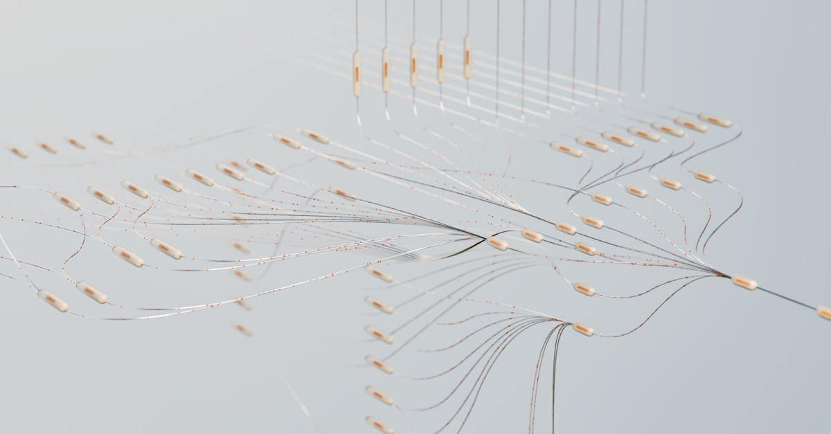 Wat is unsupervised learning en hoe optimaliseer je data